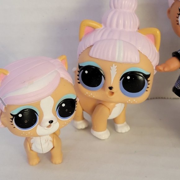 L.O.L. Surprise! | Toys | Lol Surprise Lot Pink Hair Boy Girls Pets ...